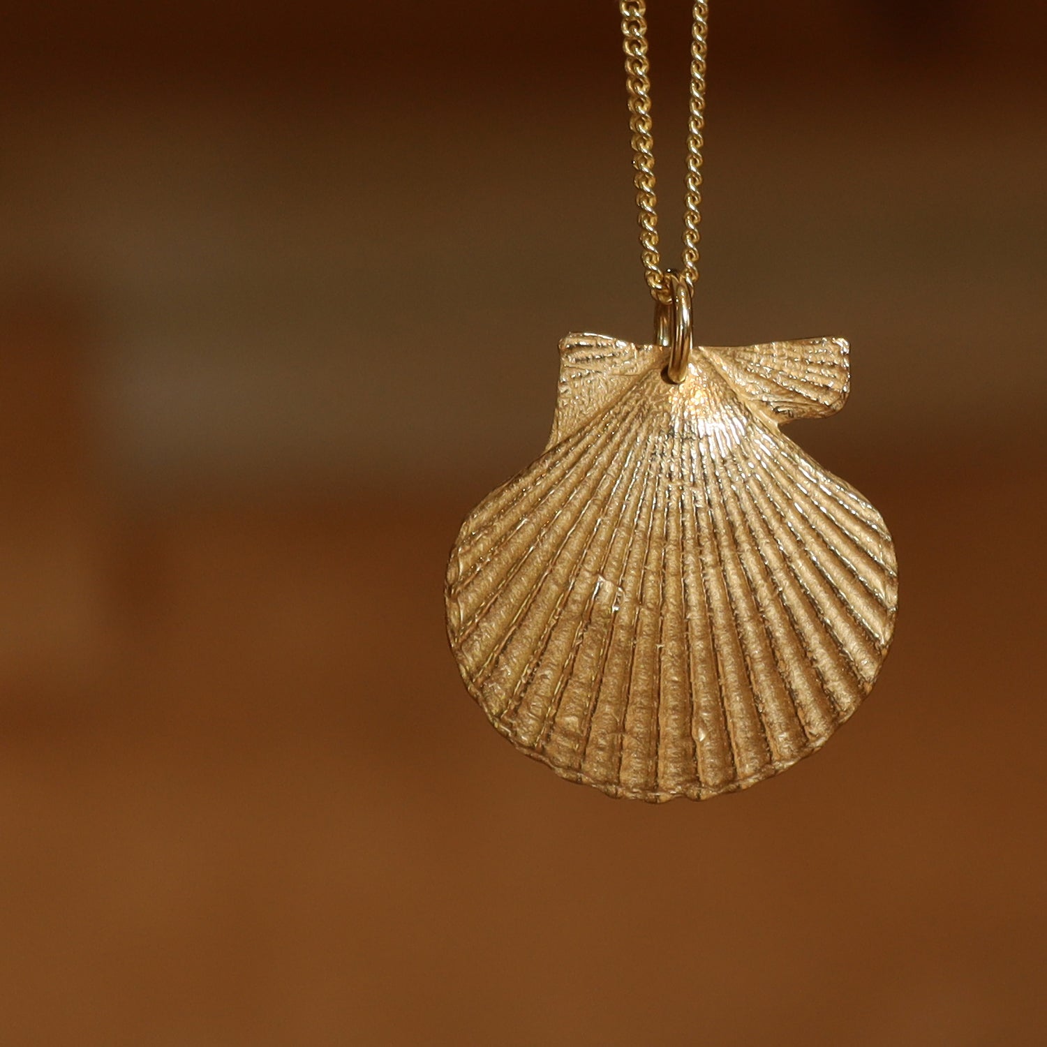 Scallop - Larger St Martin's - 9ct yellow gold