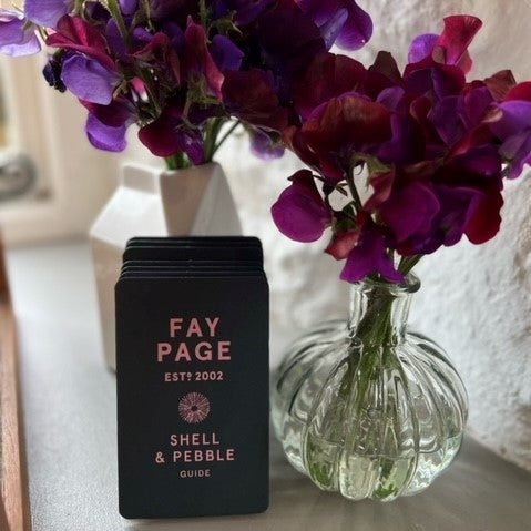 Fay Page Shell & Pebble Guide